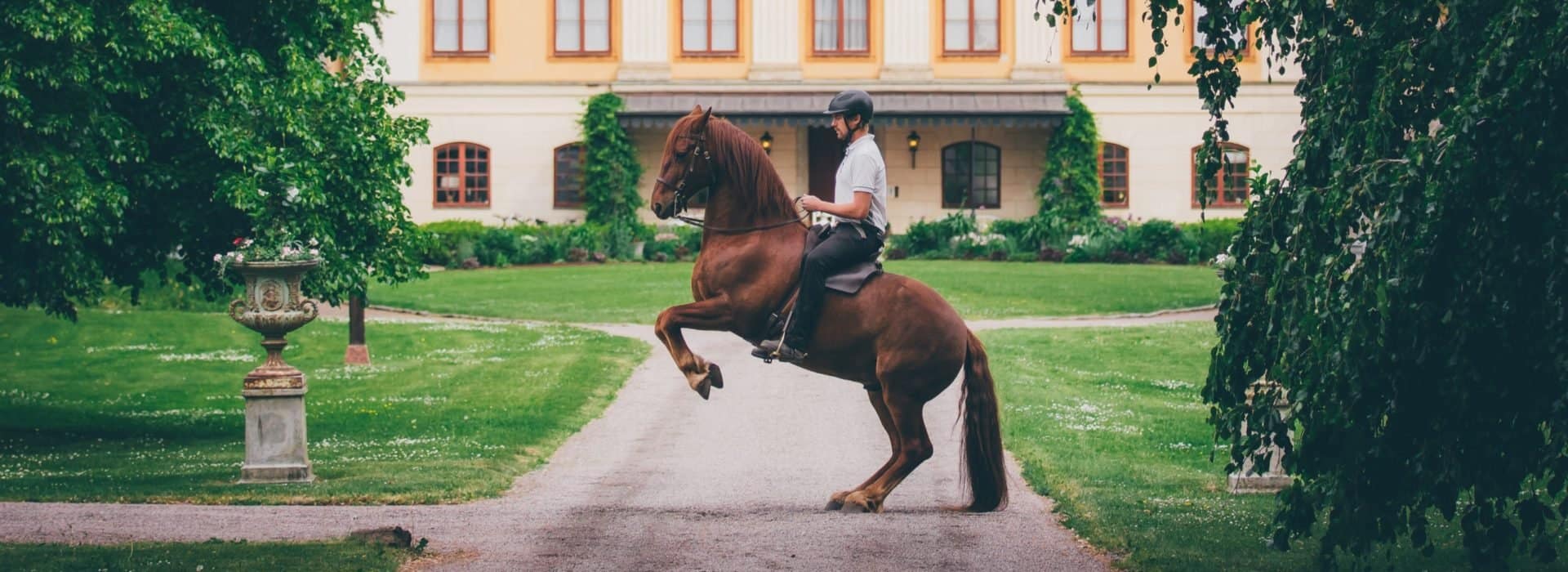 Christofer Dahlgren – online-reitschule