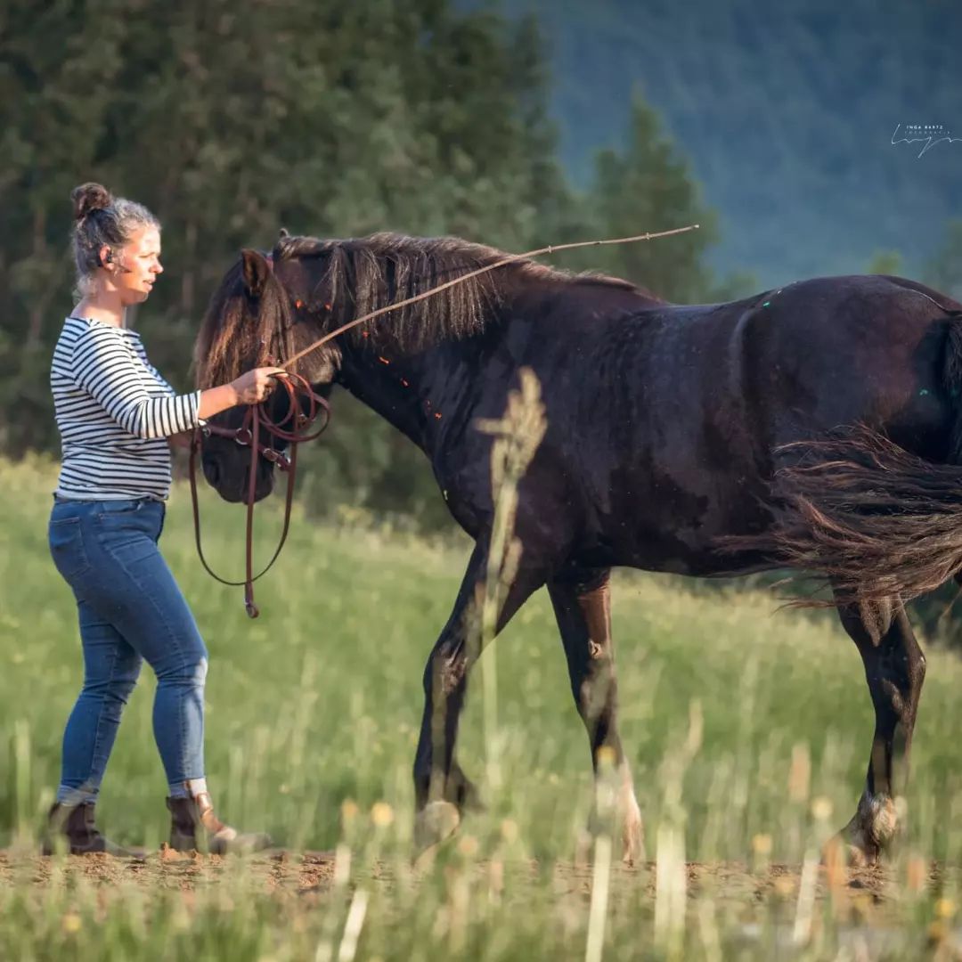 Was trägt denn hier? Blickschulung mit Anja und Celina – online-reitschule